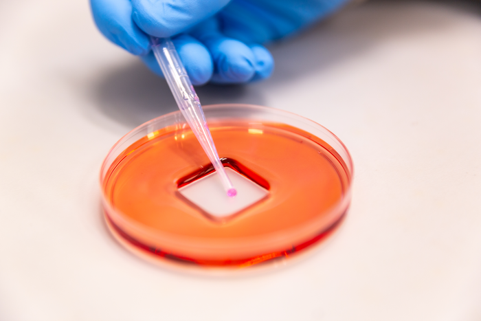 COVID shield: spray coating to shield surface | EurekAlert!