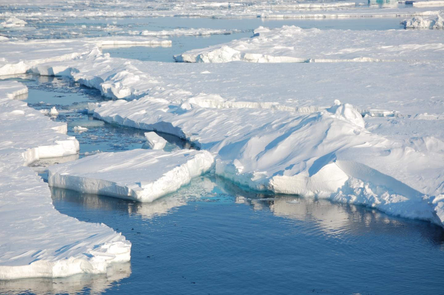 Arctic Sea Ice [image] Eurekalert Science News Releases