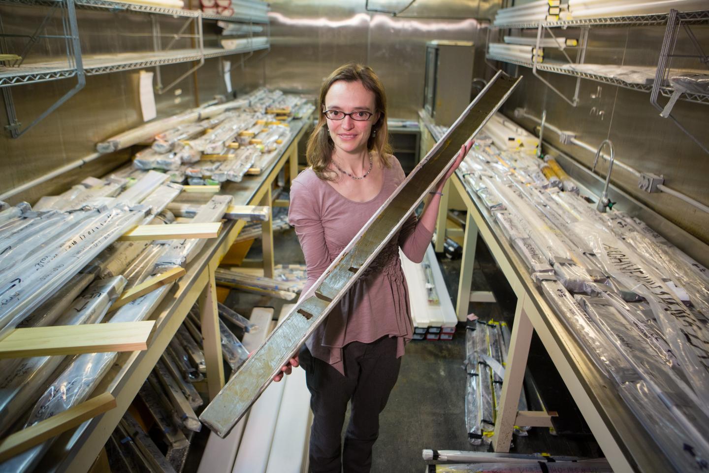 Sediment Core [IMAGE] | EurekAlert! Science News Releases