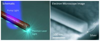 Schematic and SEM of Plasmon L [IMAGE] | EurekAlert! Science News Releases