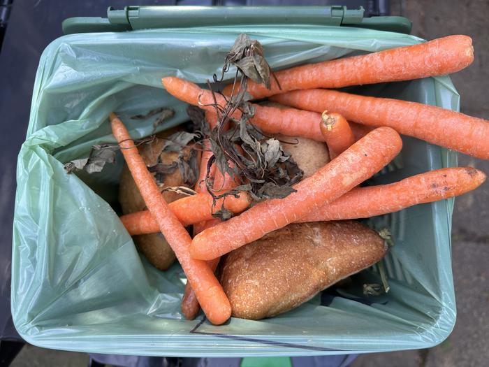 Wasted food [IMAGE] | EurekAlert! Science News Releases