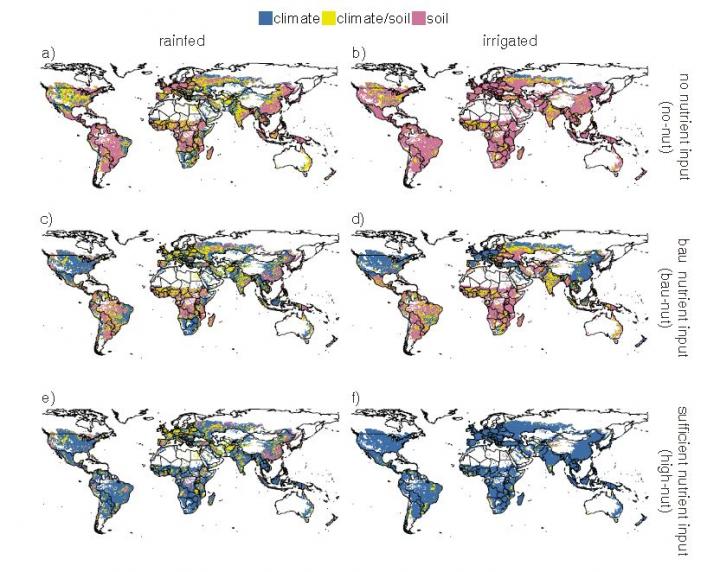 Soil vs. Climate in Crop Model [IMAGE] | EurekAlert! Science News Releases