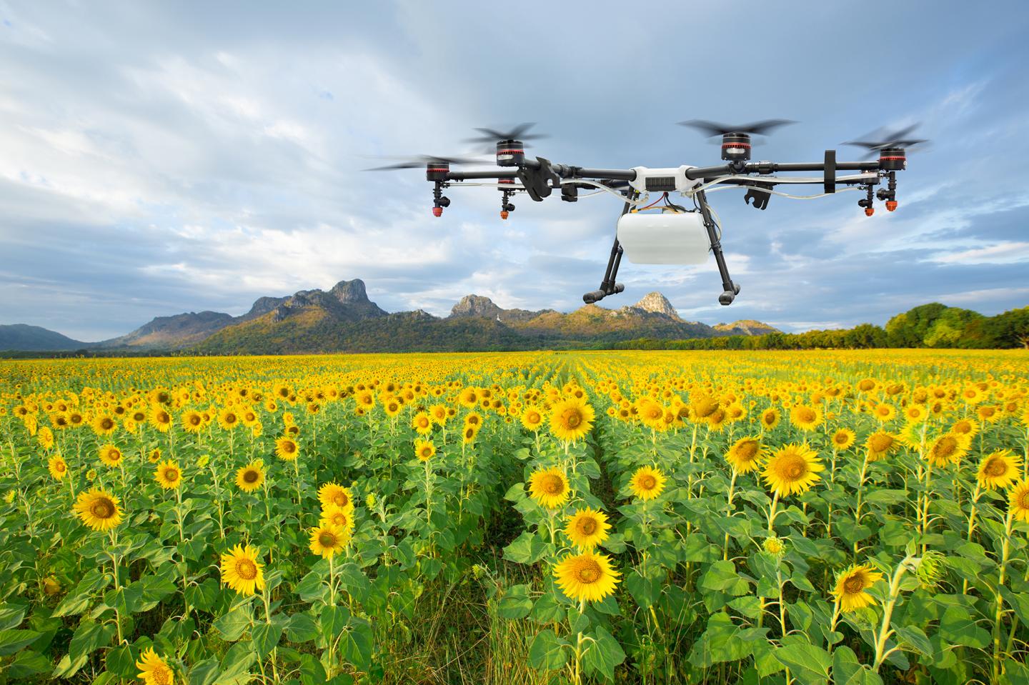 UAVs in Agriculture [IMAGE] | EurekAlert! Science News Releases