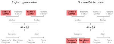 Language Springs From Human Th [IMAGE] | EurekAlert! Science News Releases