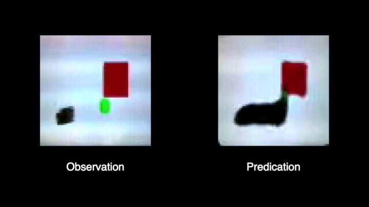 GIF showing observer robot [IMAGE] | EurekAlert! Science News Releases