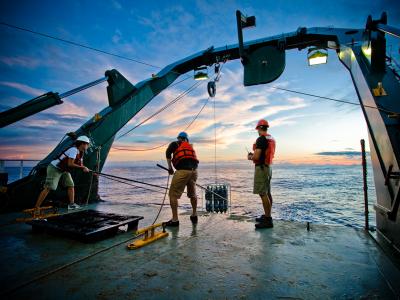 How Ocean Microbes Respond to [IMAGE] | EurekAlert! Science News Releases