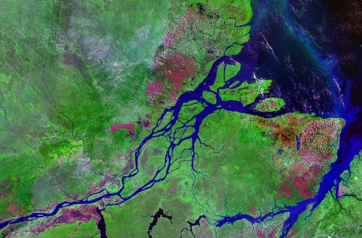 Amazon River Basin [IMAGE] | EurekAlert! Science News Releases