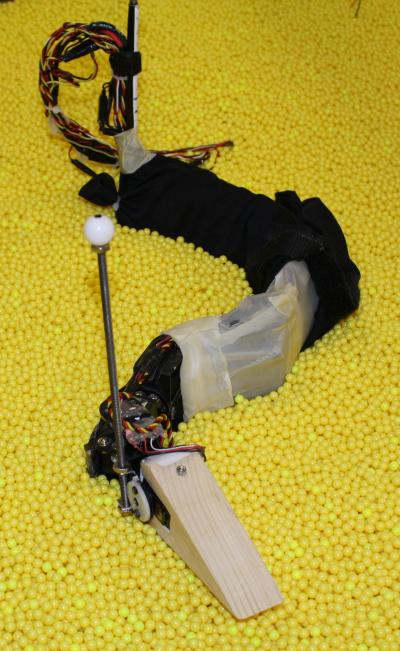 Sandfish Robot Goldman [IMAGE] | EurekAlert! Science News Releases