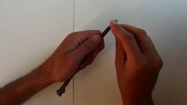 Precision or Power? Evidence for Precise Hand | EurekAlert!