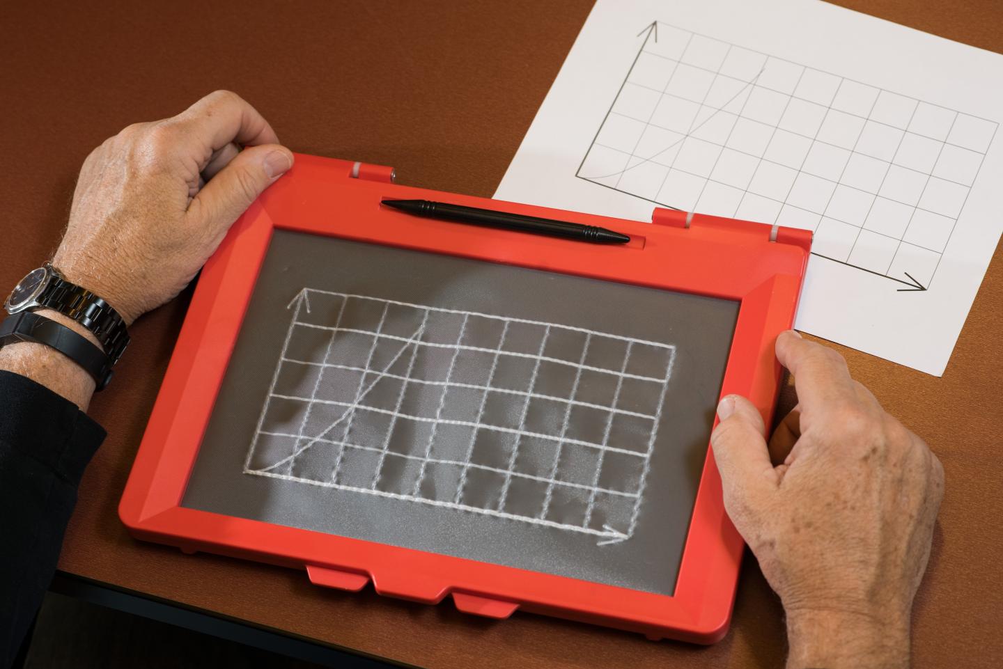 Raised Line Graphics Produced [IMAGE] | EurekAlert! Science News Releases