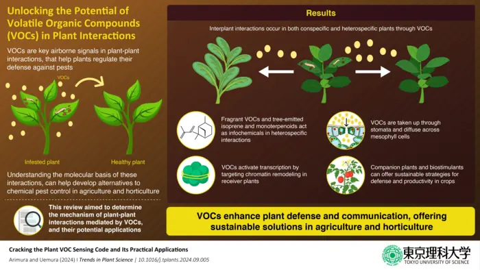 Exploring how plants communica [IMAGE] | EurekAlert! Science News Releases