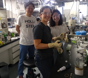 International collaboration investigates the | EurekAlert!