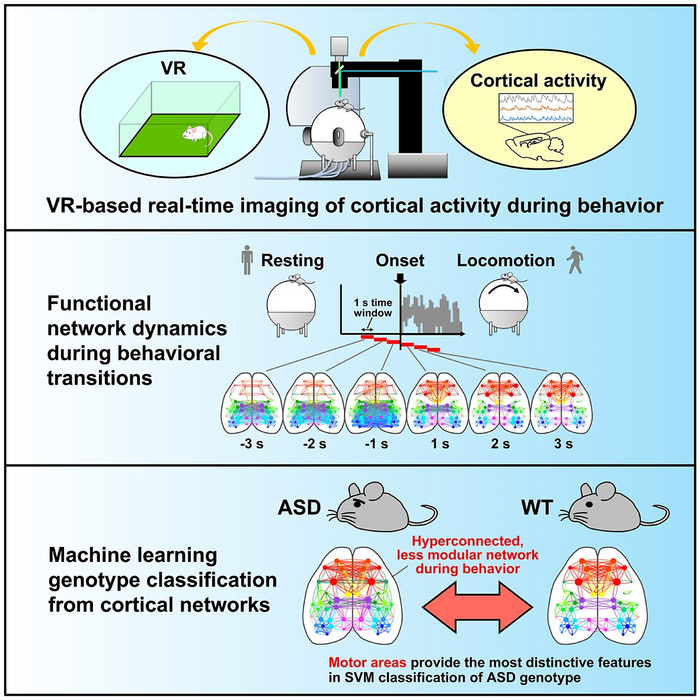 Illustrated abstract of the st [IMAGE] | EurekAlert! Science News Releases