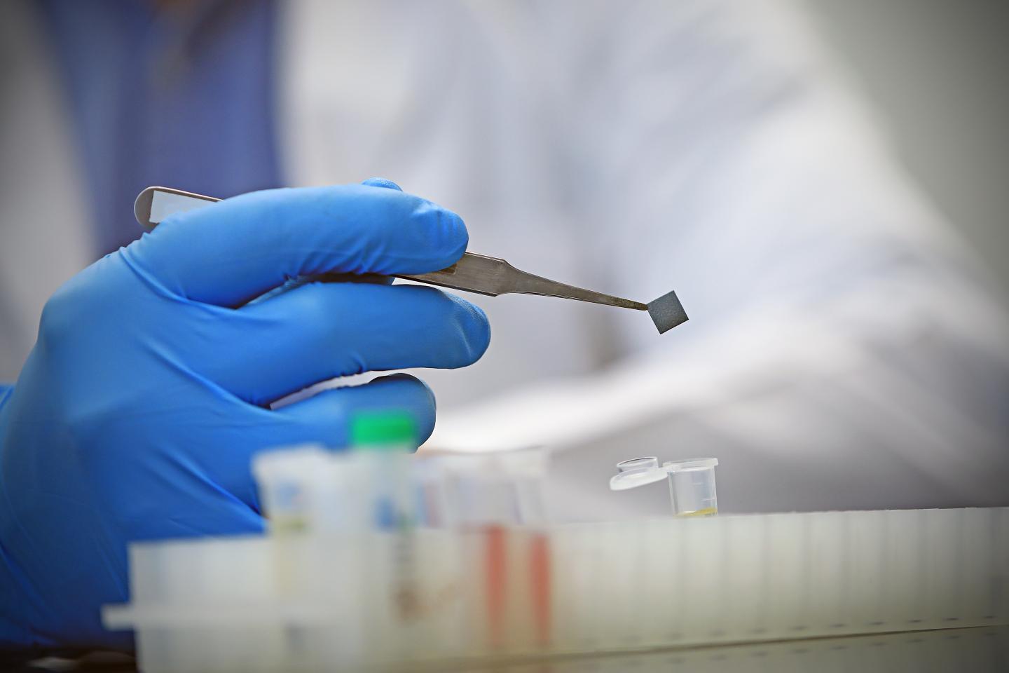 Zika Virus Test [IMAGE] | EurekAlert! Science News Releases