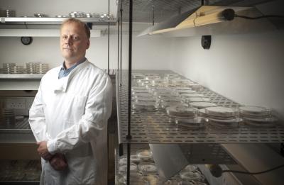 Chris Thornton, University of [IMAGE] | EurekAlert! Science News Releases