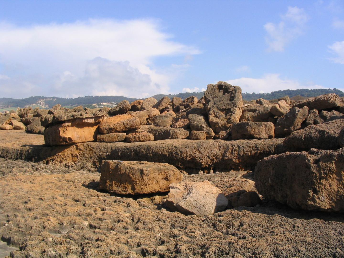 Tsunamis or Storms? Clarifying the History of | EurekAlert!