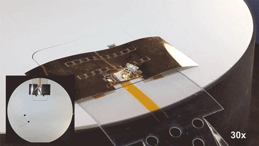 Robot Morphs on Demand Using 'Self-folding' O | EurekAlert!