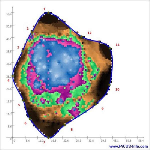Measuring trees with the speed of sound | EurekAlert!