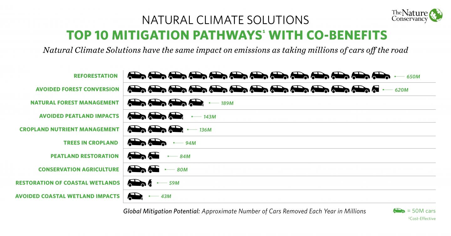 Top 10 Mitigation Pathways wit [IMAGE] | EurekAlert! Science News Releases
