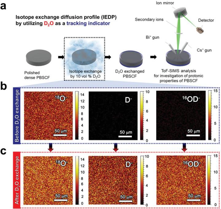 D2O for the ToF-SIMS measureme [IMAGE] | EurekAlert! Science News Releases