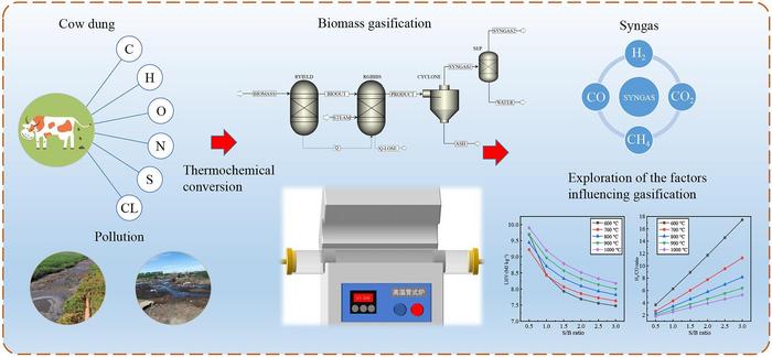 graphical abstract [IMAGE] | EurekAlert! Science News Releases