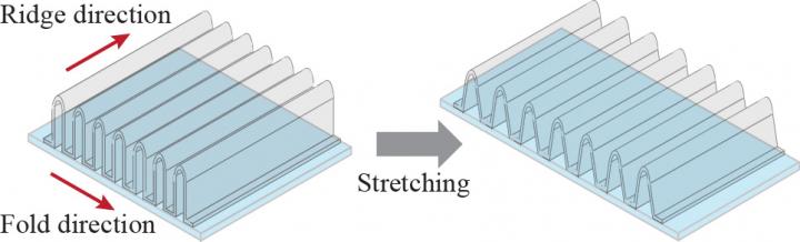 Transparent Conductor Stretche [IMAGE] | EurekAlert! Science News Releases