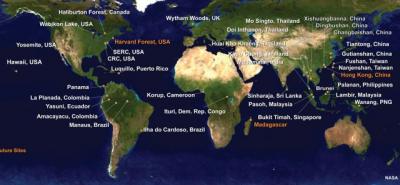 Center for Tropical Forest Sci [IMAGE] | EurekAlert! Science News Releases