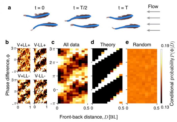 Figure 3 [IMAGE] | EurekAlert! Science News Releases