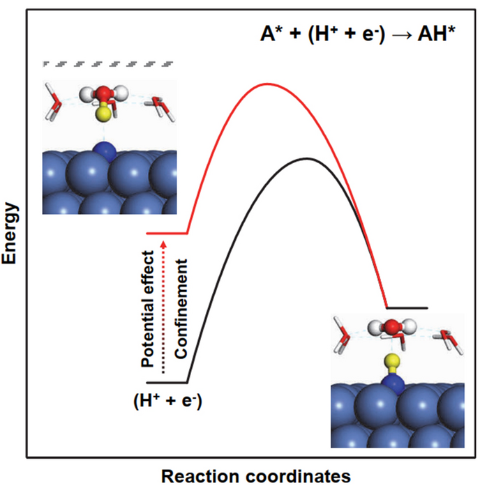 Theoretical understanding of electrocatalysis | EurekAlert!
