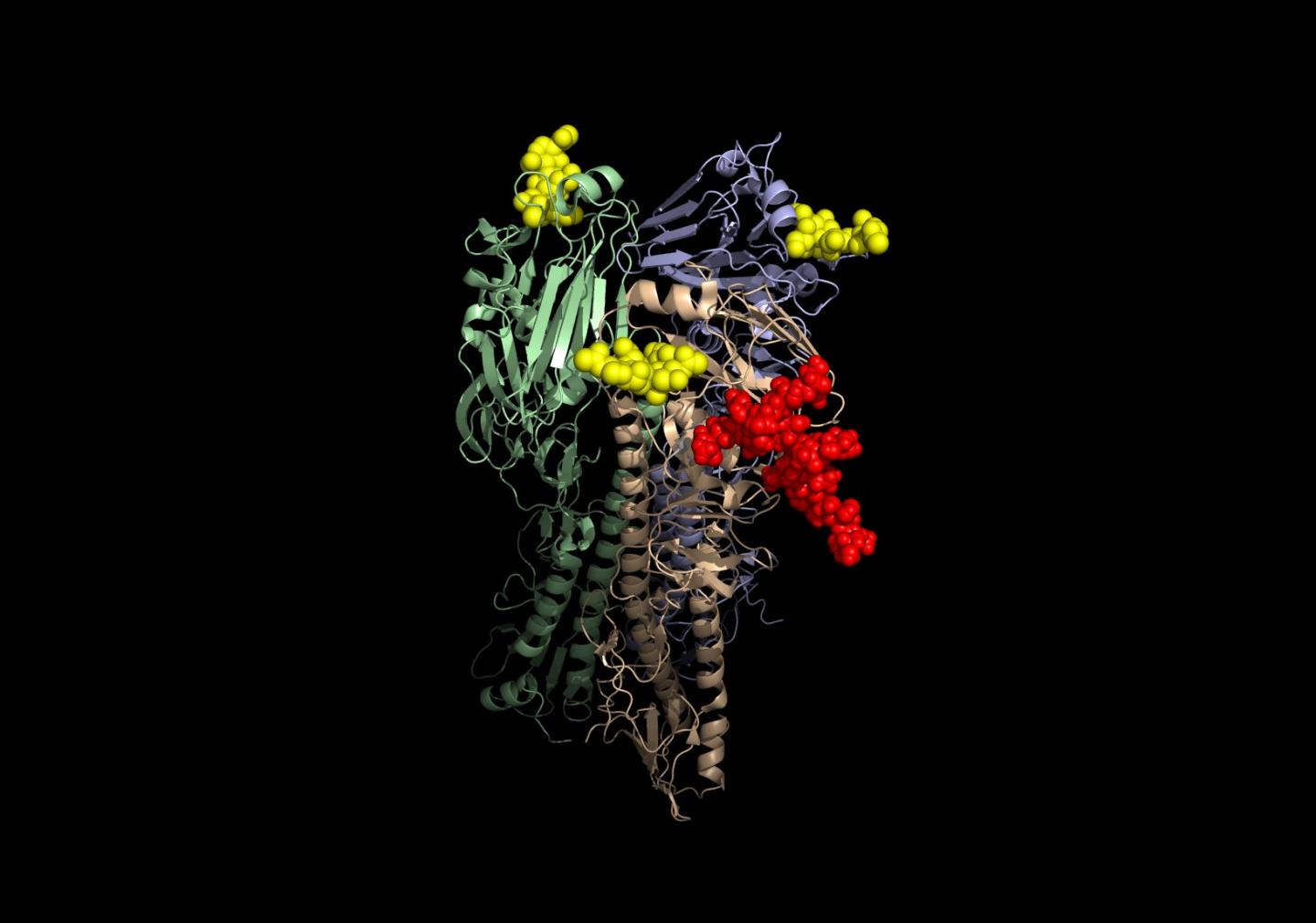 Certain Flu Virus Mutations Ma [IMAGE] | EurekAlert! Science News Releases
