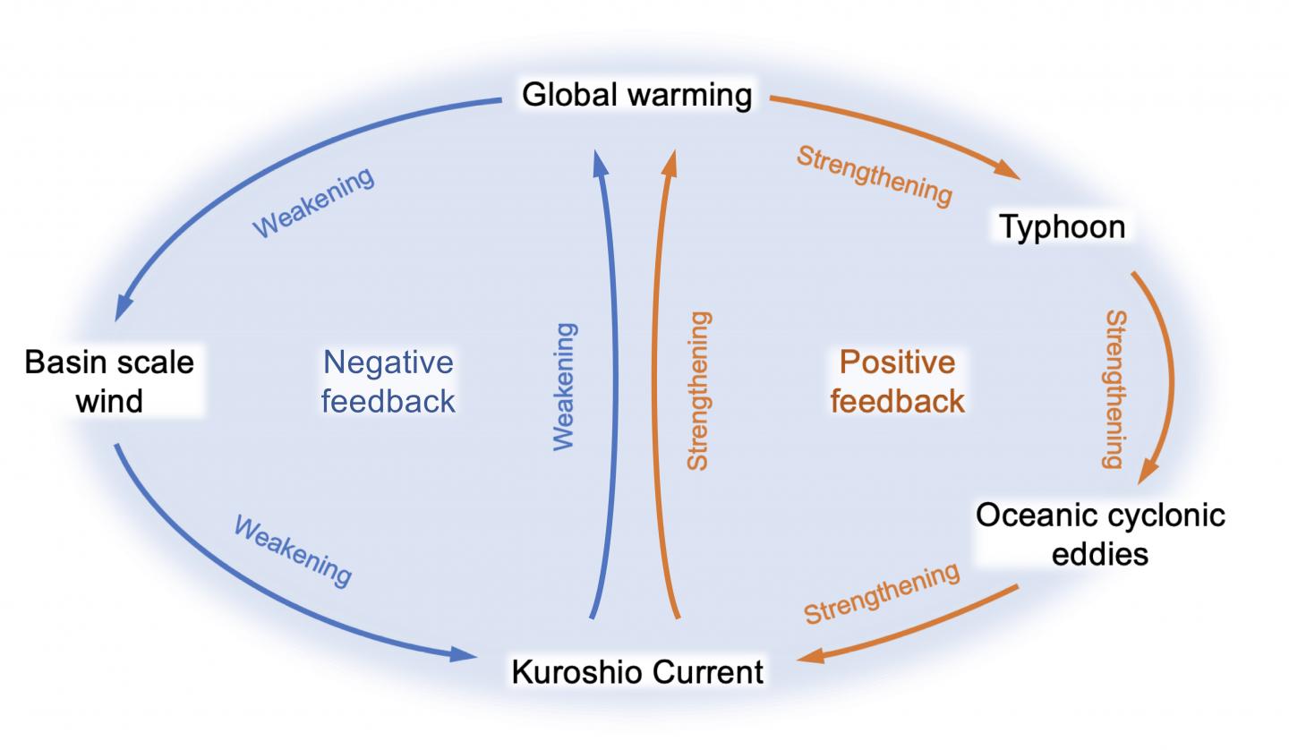 Stronger Tropical Cyclones Str [IMAGE] | EurekAlert! Science News Releases