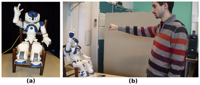 Fig 1. Experimental setup. (a) [IMAGE] | EurekAlert! Science News Releases