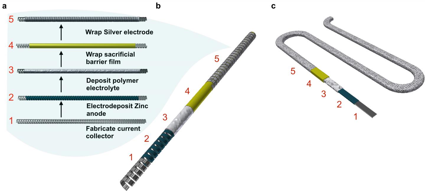 Springs Support Stretchy Batteries That Are S | EurekAlert!