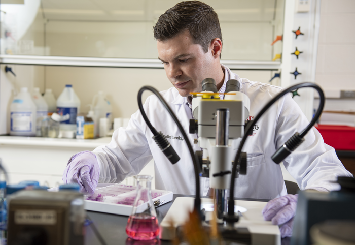 Searching for breakthroughs on multiple front | EurekAlert!