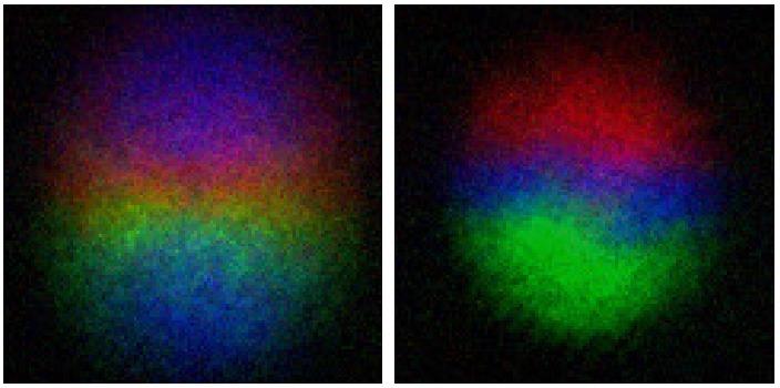 Experimental Side Image of the [IMAGE] | EurekAlert! Science News Releases