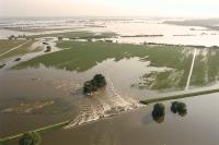 Vegetation hardly affected by extreme flood e | EurekAlert!