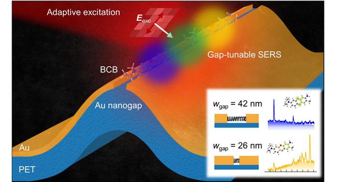 A Raman sensor featuring tunab [IMAGE] | EurekAlert! Science News Releases