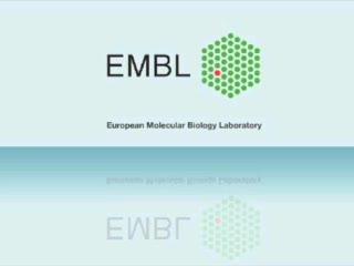 How the cell swallows | EurekAlert!