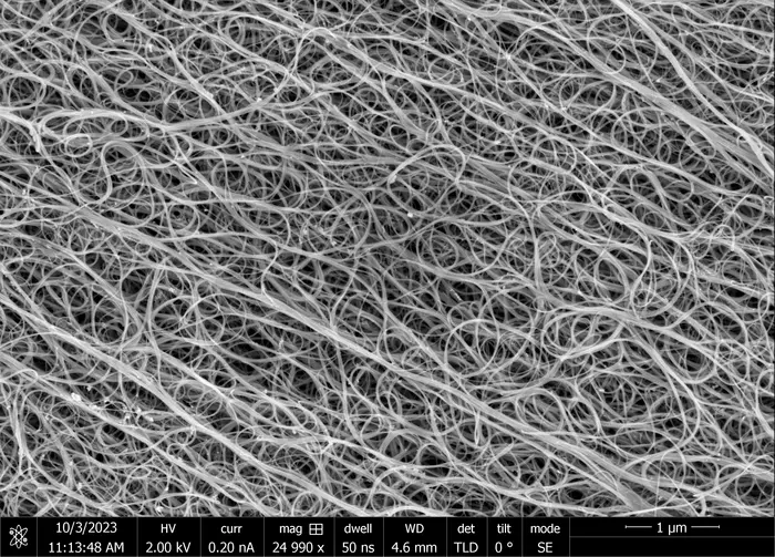 CNTs [IMAGE] | EurekAlert! Science News Releases