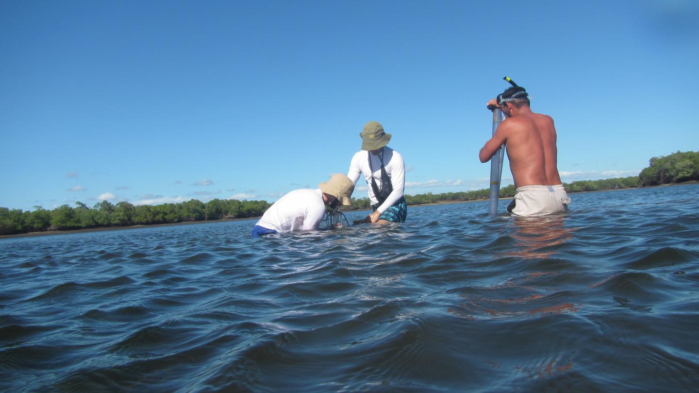 Subaqueous Soil Sample [IMAGE] | EurekAlert! Science News Releases