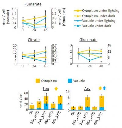 Fluctuation [IMAGE] | EurekAlert! Science News Releases
