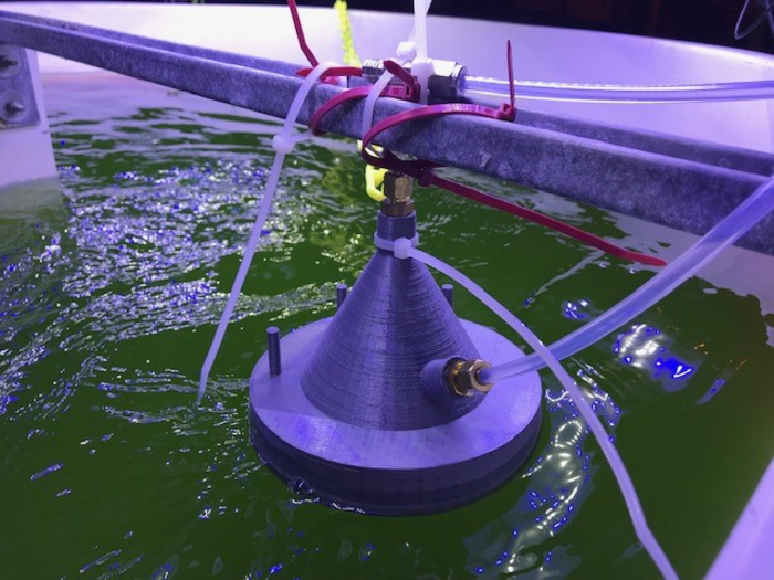 Algae health technology [IMAGE] | EurekAlert! Science News Releases