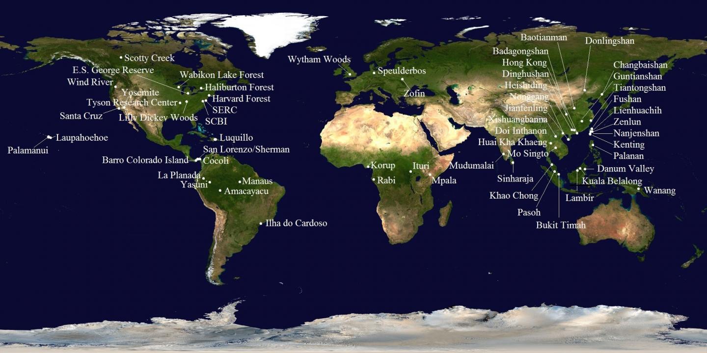 ForestGEO Map [IMAGE] | EurekAlert! Science News Releases
