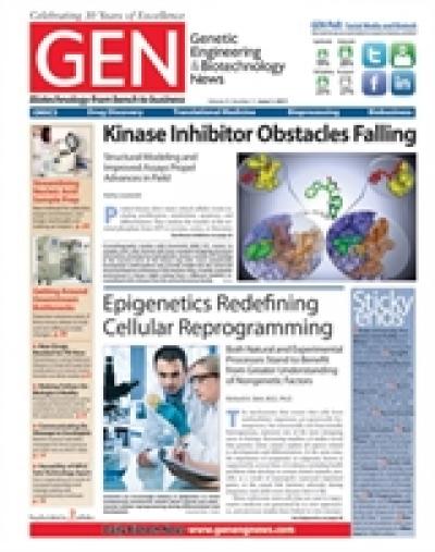 GEN reports on advances in novel protein kina | EurekAlert!