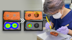 Researchers develop a new surgical training m | EurekAlert!