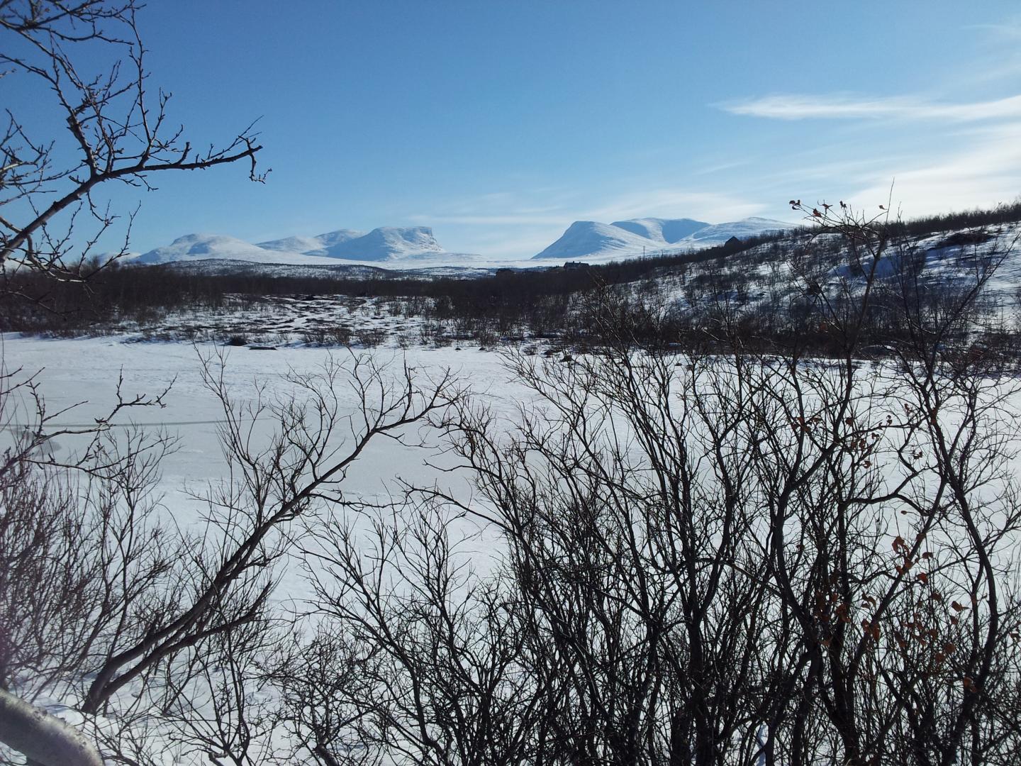 Revealing the Sources of Black Carbon Aerosol | EurekAlert!