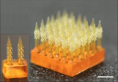Bioinspired Microneedle Array [IMAGE] | EurekAlert! Science News Releases