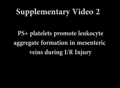 Rolling, Rolling, Rolling on the Platelets (1 | EurekAlert!