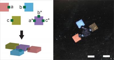 Gel Bricks [IMAGE] | EurekAlert! Science News Releases