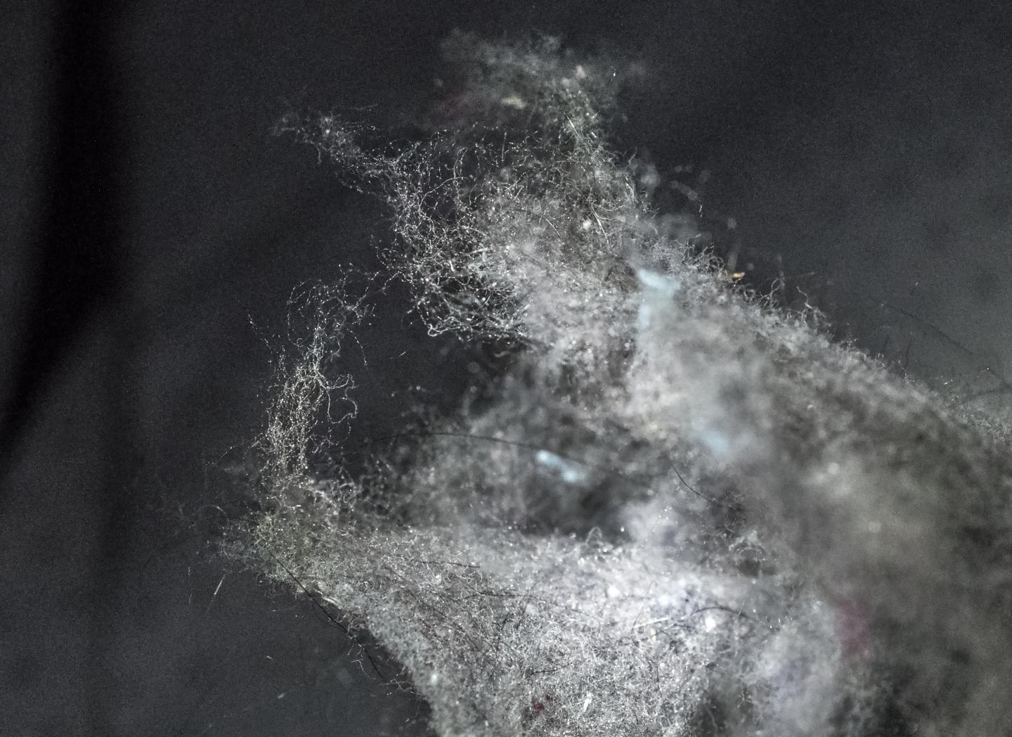 Lint [IMAGE] | EurekAlert! Science News Releases